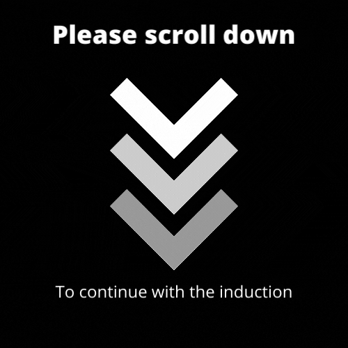 You Tube Festival 25 Induction